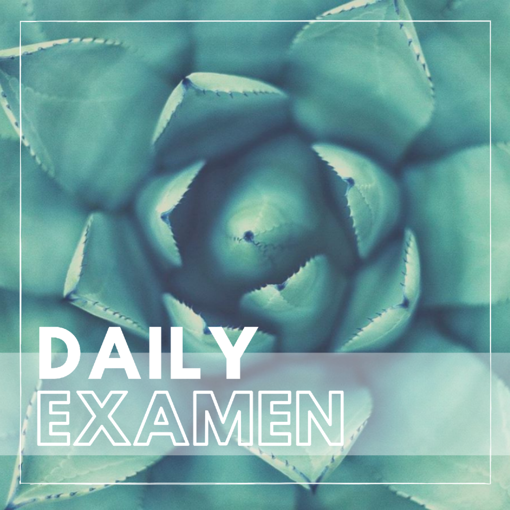 Small Groups – Georges River Life Church